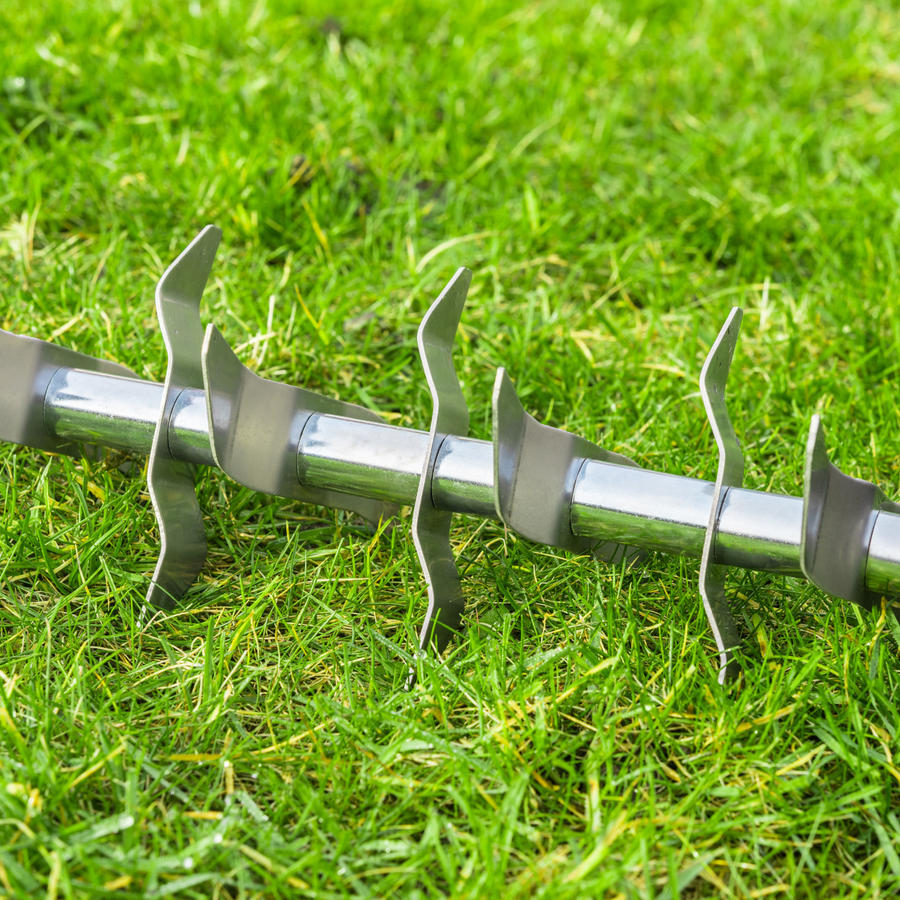 6 Important Lawn Care Tips for Spring - Spinkler System Store