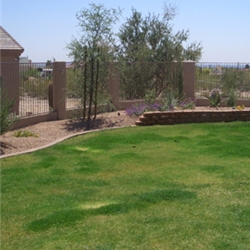 Taking Steps to Keep Your Yard Safe - Spinkler System Store