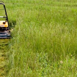 When Should You Start Cutting Your Grass in the Spring? - Spinkler ...